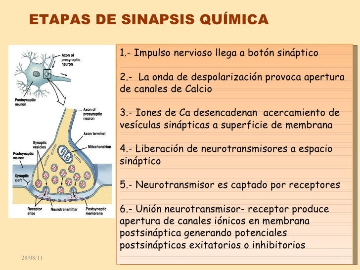 54047 anexo1 impulso