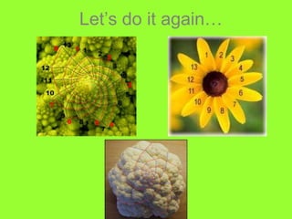 541 Interactive ppt Fibonacci Sequence | PPTX