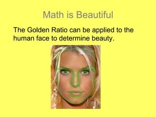 Fibonacci Sequence In Human Face