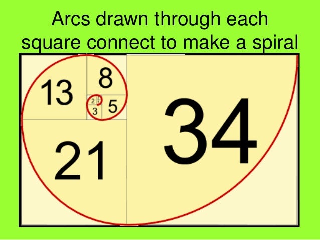 541 Interactive Ppt Fibonacci Sequence