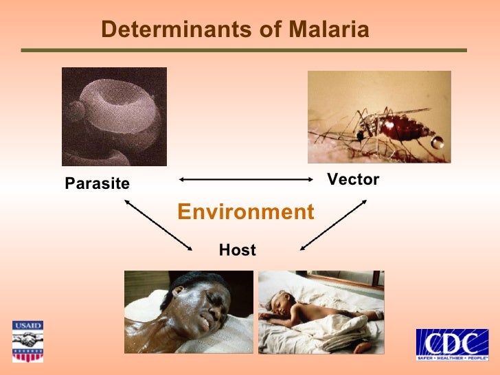 The Epidemiology of Malaria Outbreaks