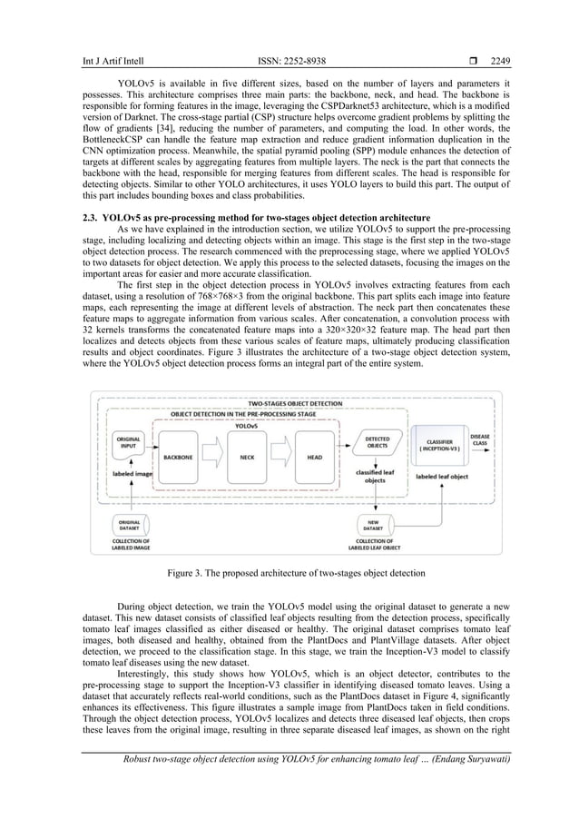 Robust two-stage object detection using YOLOv5 for enhancing tomato ...