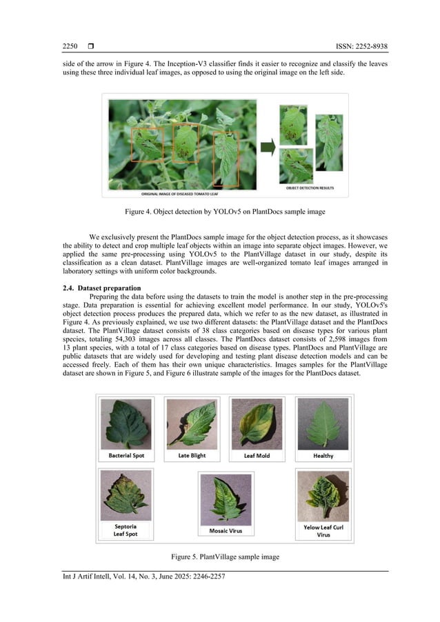 Robust two-stage object detection using YOLOv5 for enhancing tomato ...