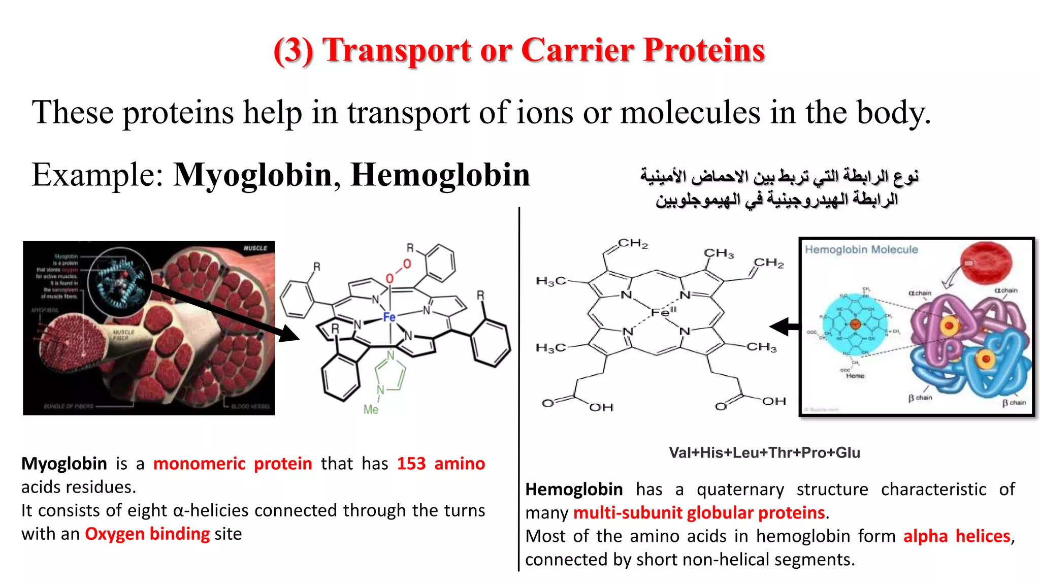 Classification of Proteins on Biological Function | PPT