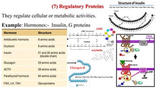 Classification of Proteins on Biological Function | PPTX