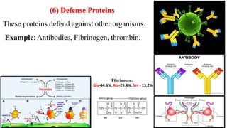 Classification of Proteins on Biological Function | PPTX