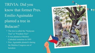 543298293-Bulacan-Cultural-Heritage.pdf