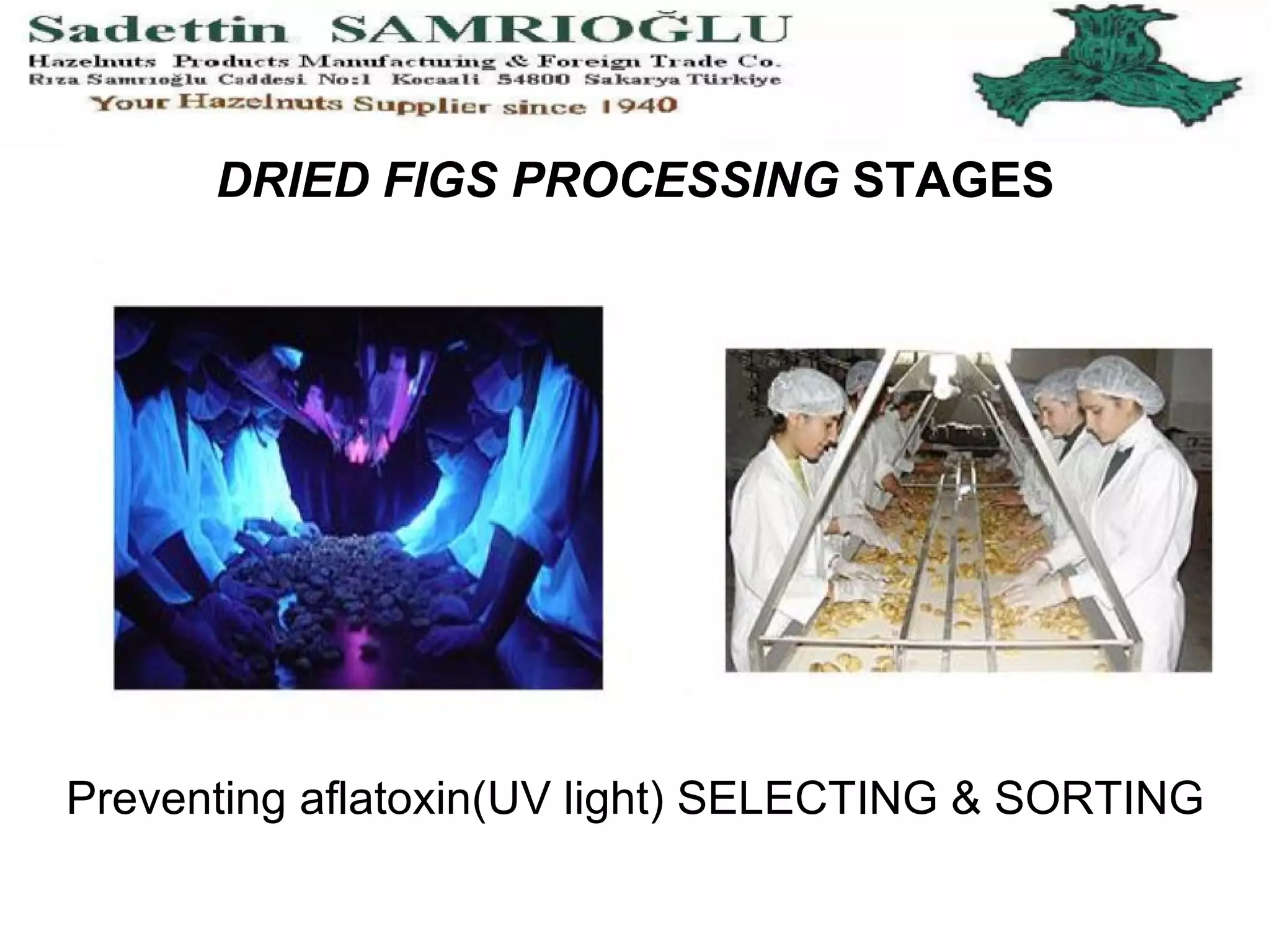 Turkish Dried Figs : Processing Stages | PPT