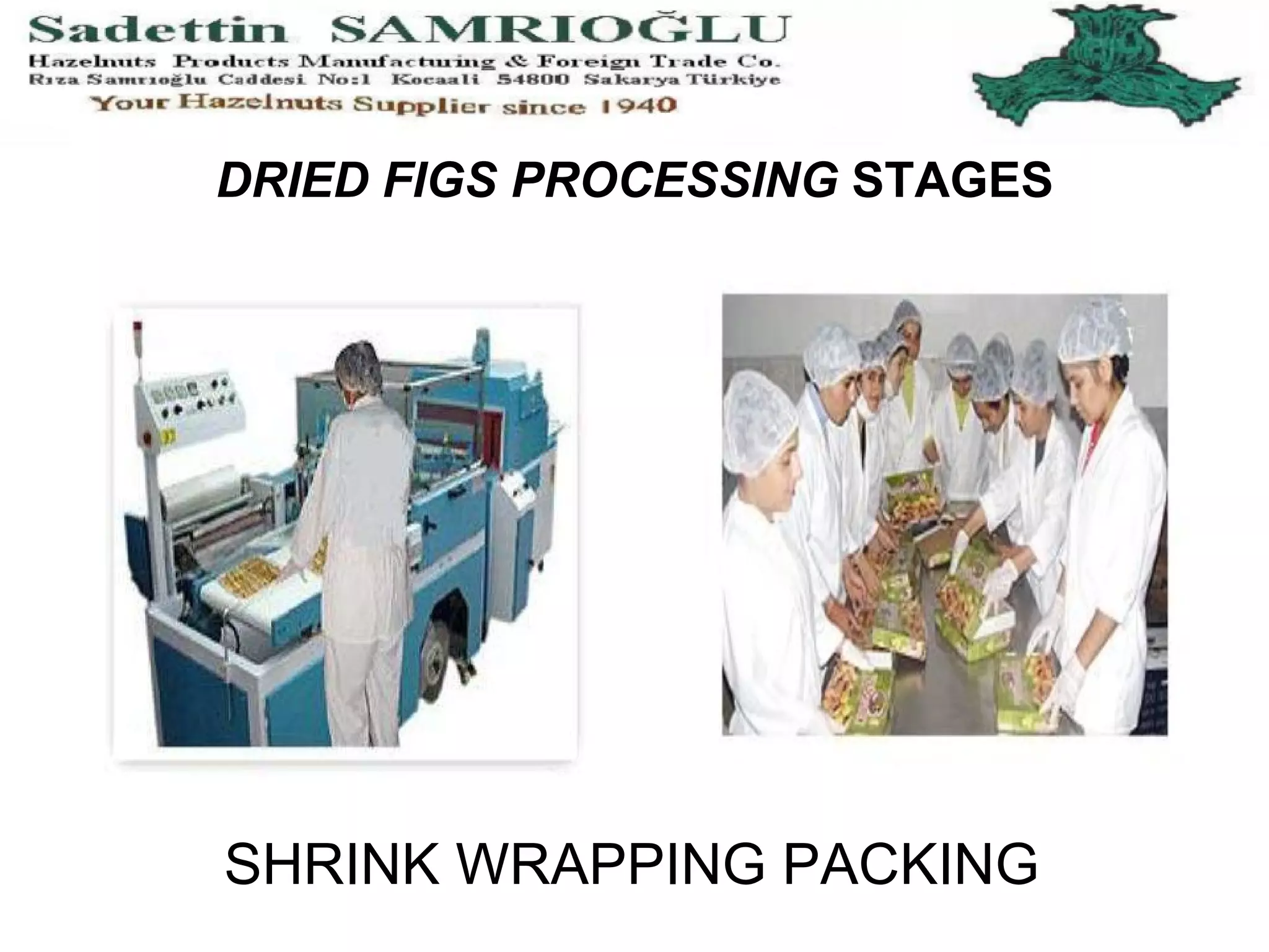 Turkish Dried Figs : Processing Stages | PPT