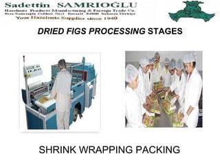 Turkish Dried Figs : Processing Stages | PPT