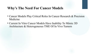 Patient Specific Lung Cancer Assembloid Model.pptx