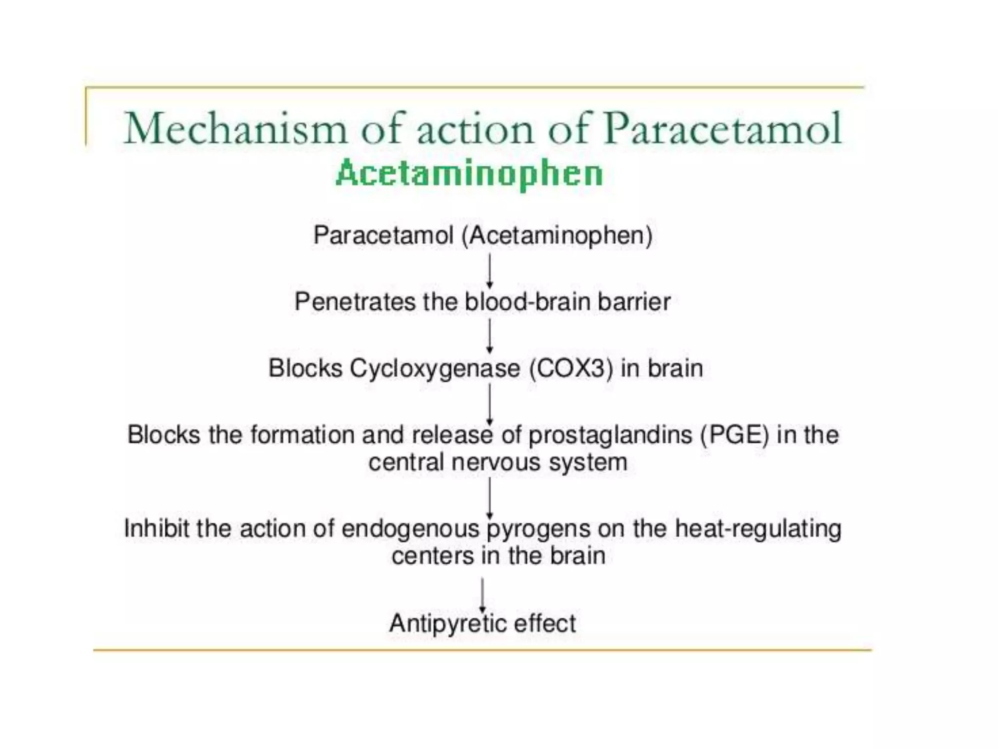 Anti Pyretic Drugs | PPTX