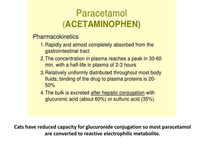 Anti Pyretic Drugs | PPTX