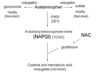Anti Pyretic Drugs | PPTX