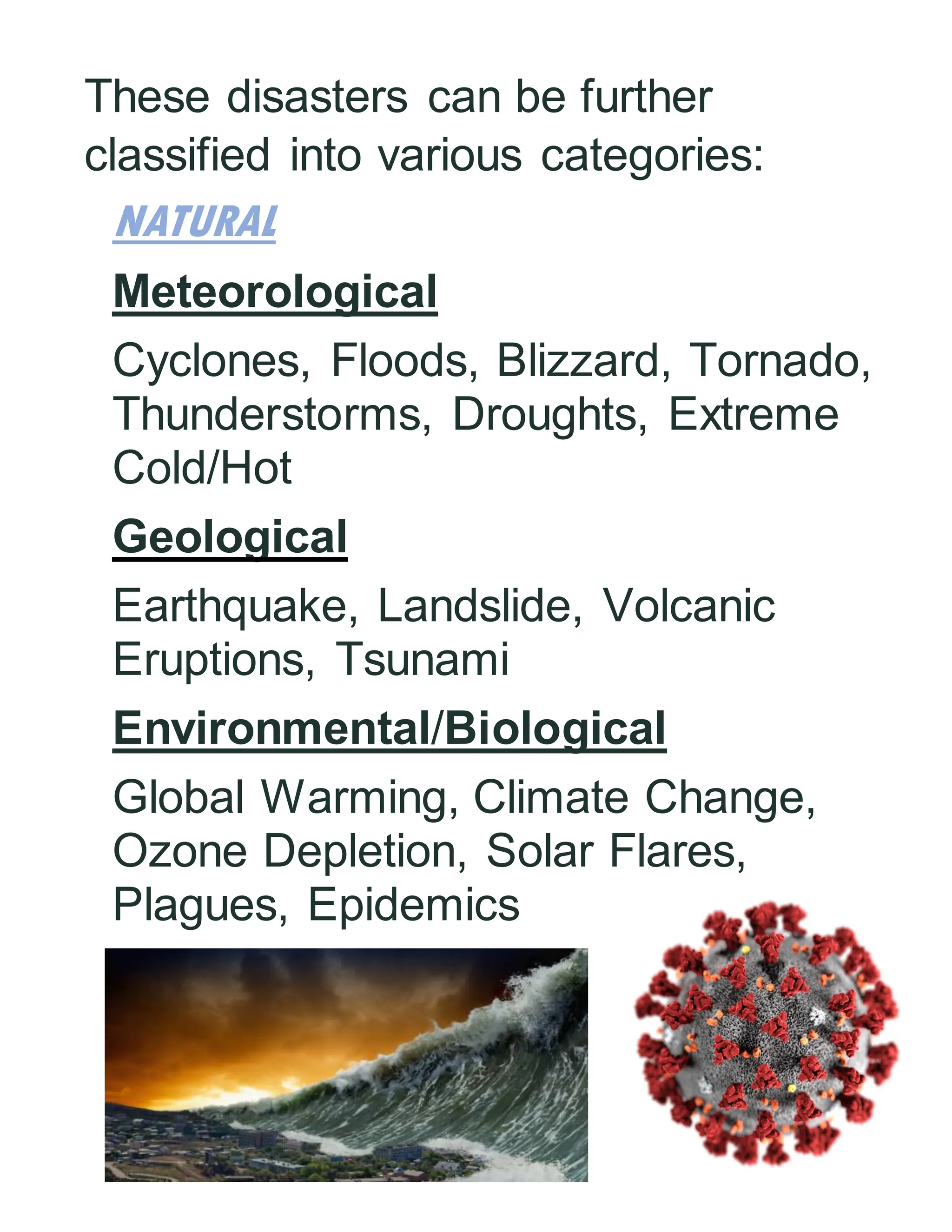 545602005-Sst-Class9-Disaster-Management-Project.pdf