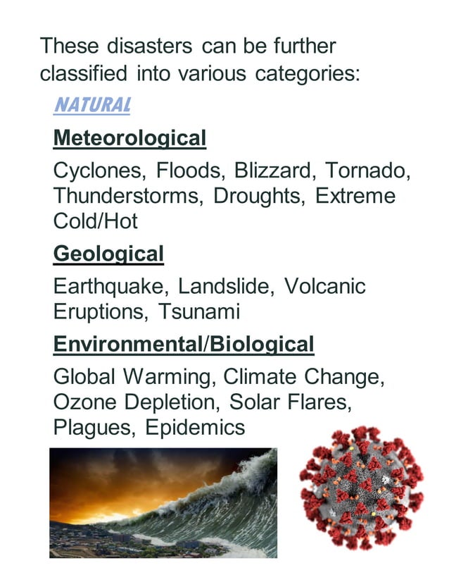 545602005-Sst-Class9-Disaster-Management-Project.pdf | Civil ...