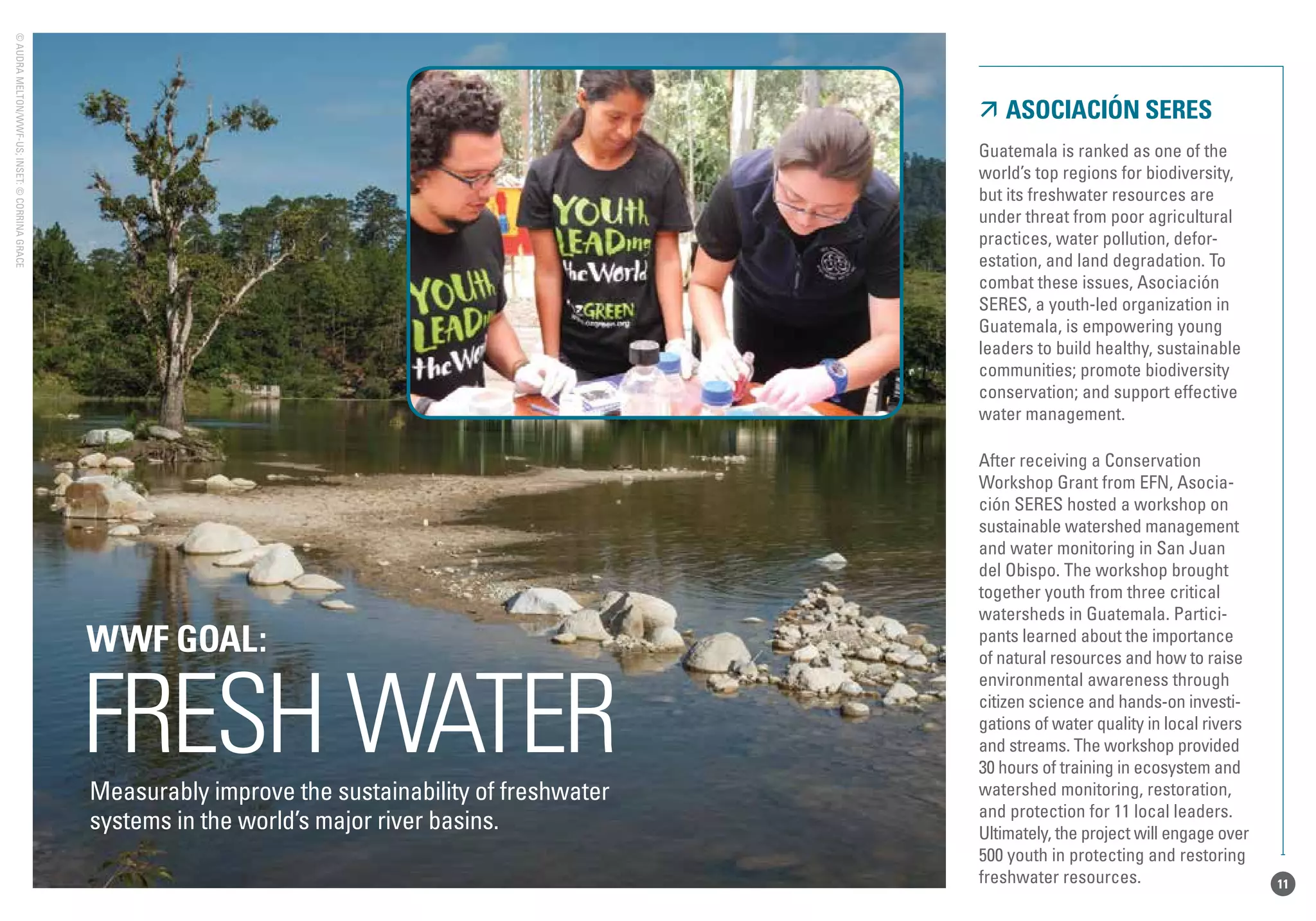 WWF Annual Report | PDF