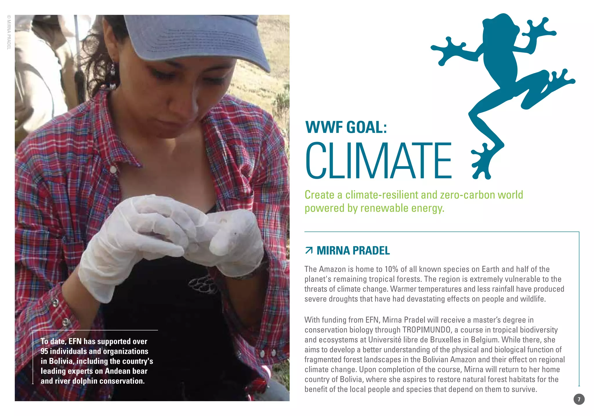 WWF Annual Report | PDF