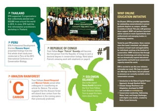 WWF Annual Report | PPT