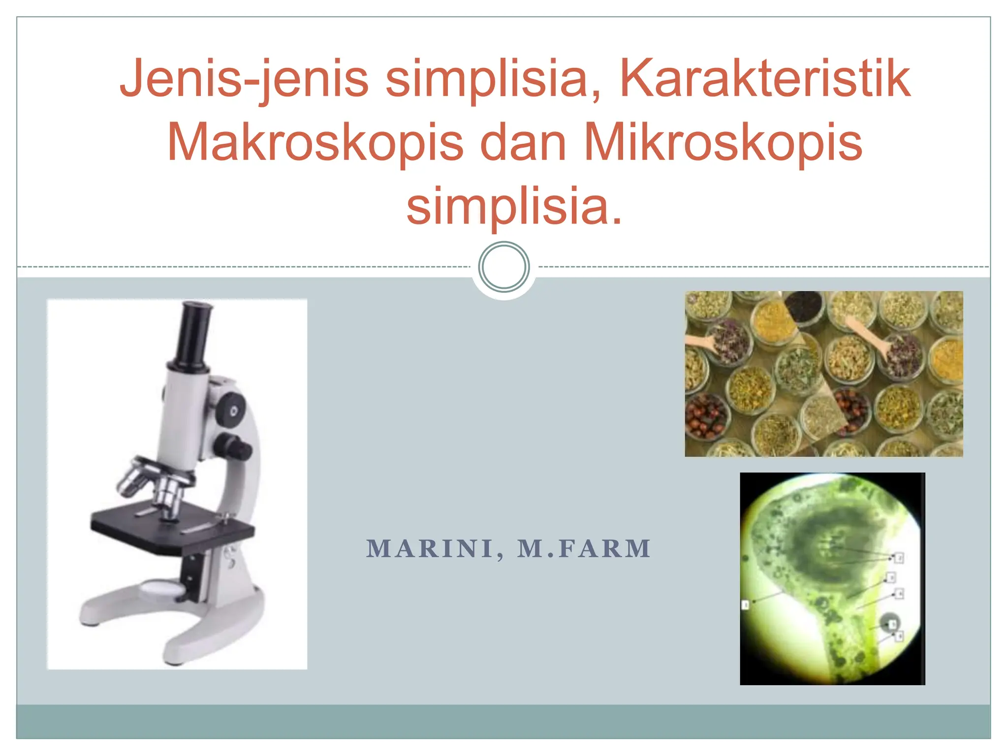 548334260-Jenis-jenis-Simplisia-Karakteristik-Makroskopis-Dan ...