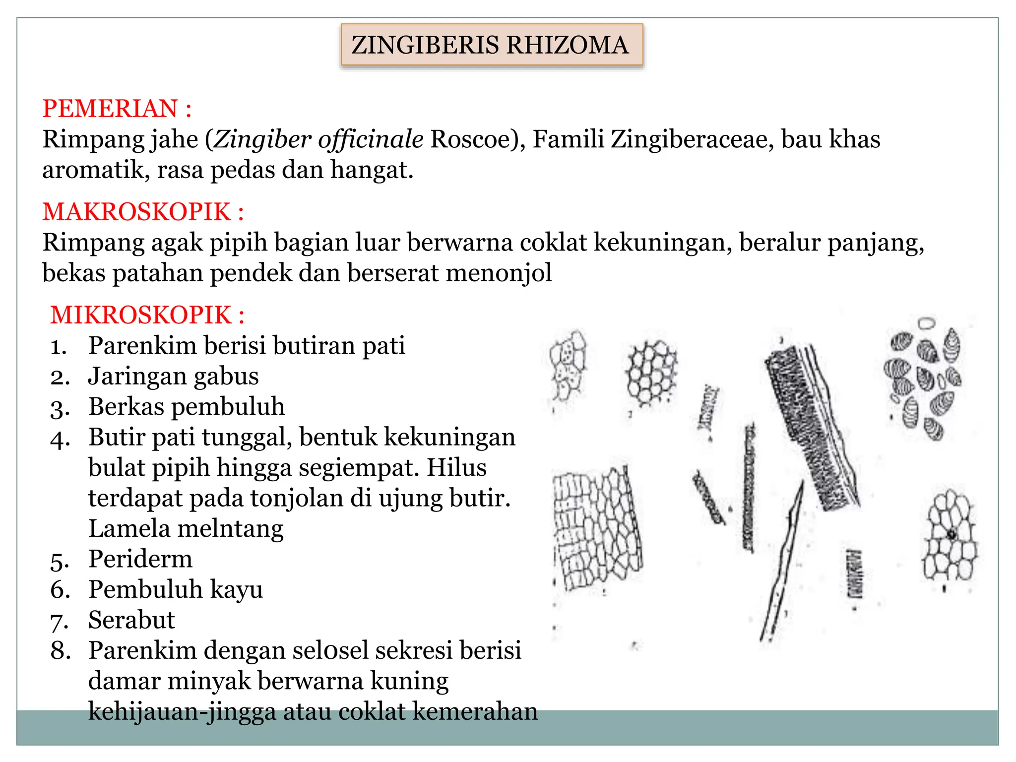 548334260-Jenis-jenis-Simplisia-Karakteristik-Makroskopis-Dan ...