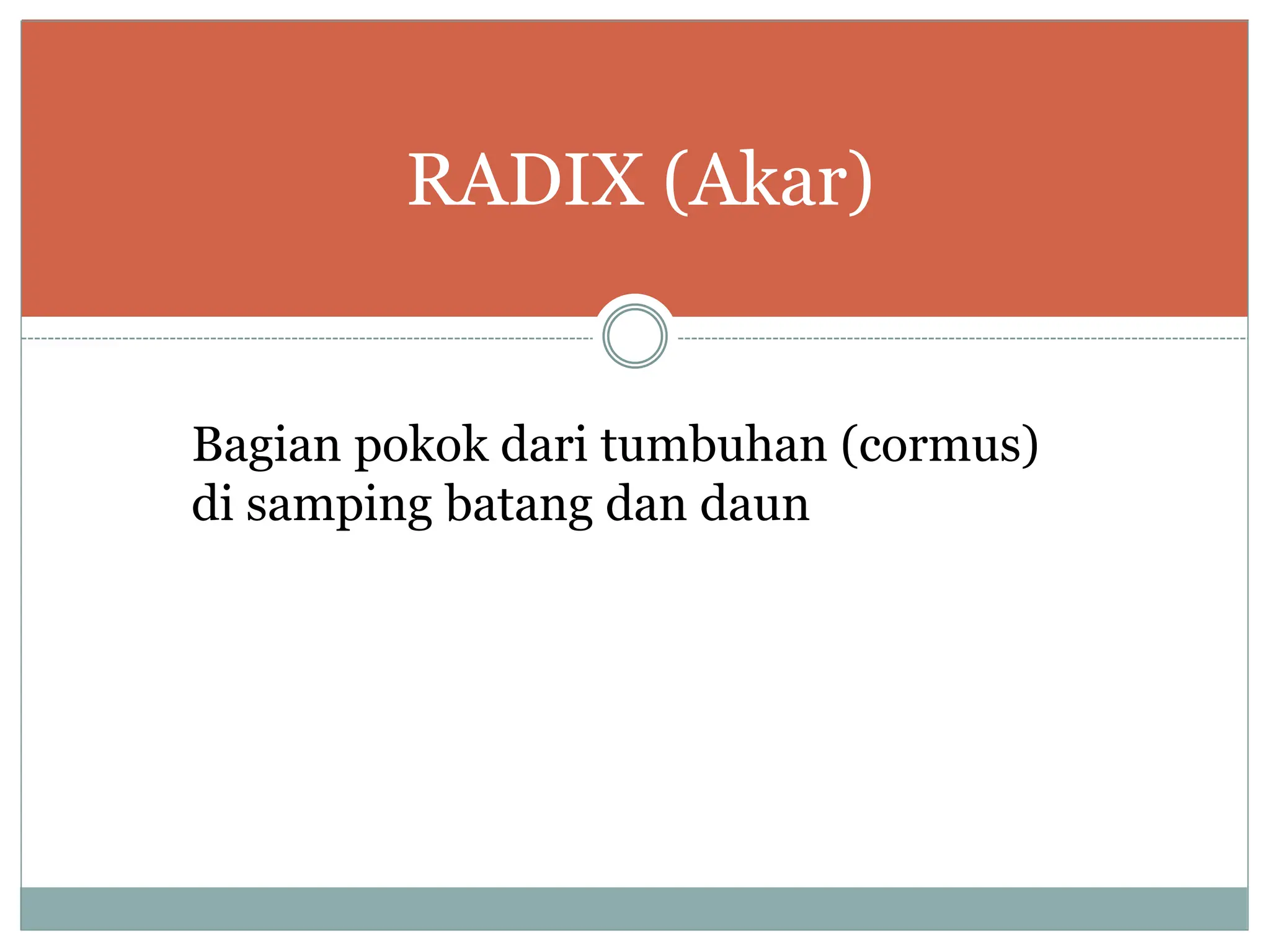 548334260-Jenis-jenis-Simplisia-Karakteristik-Makroskopis-Dan-Mikroskopis-Simplisia-Pertemuan-2.pptx