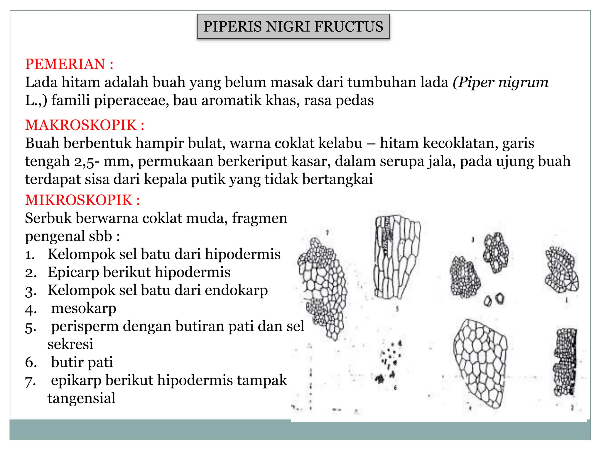 548334260-Jenis-jenis-Simplisia-Karakteristik-Makroskopis-Dan ...