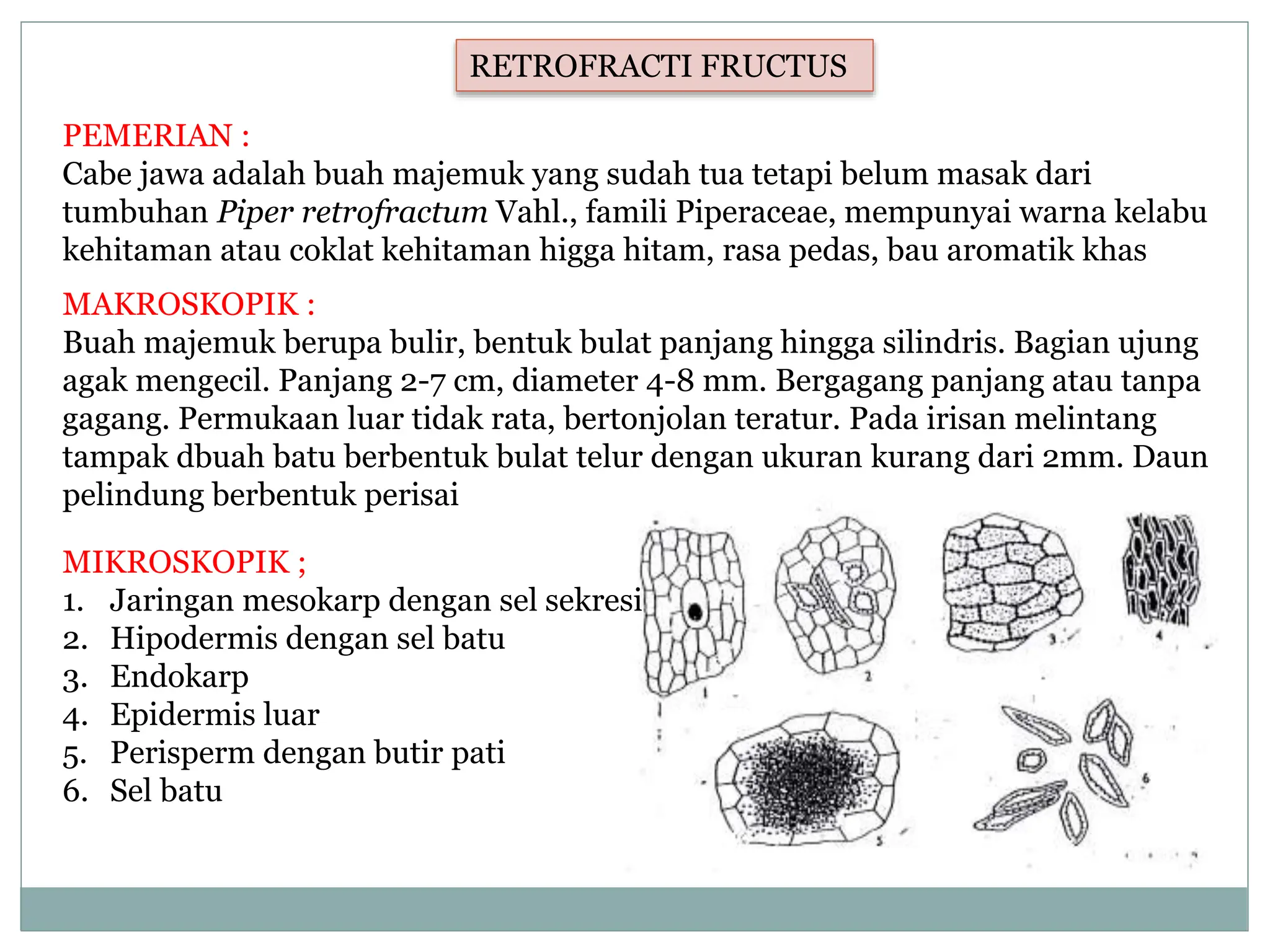 548334260-Jenis-jenis-Simplisia-Karakteristik-Makroskopis-Dan ...