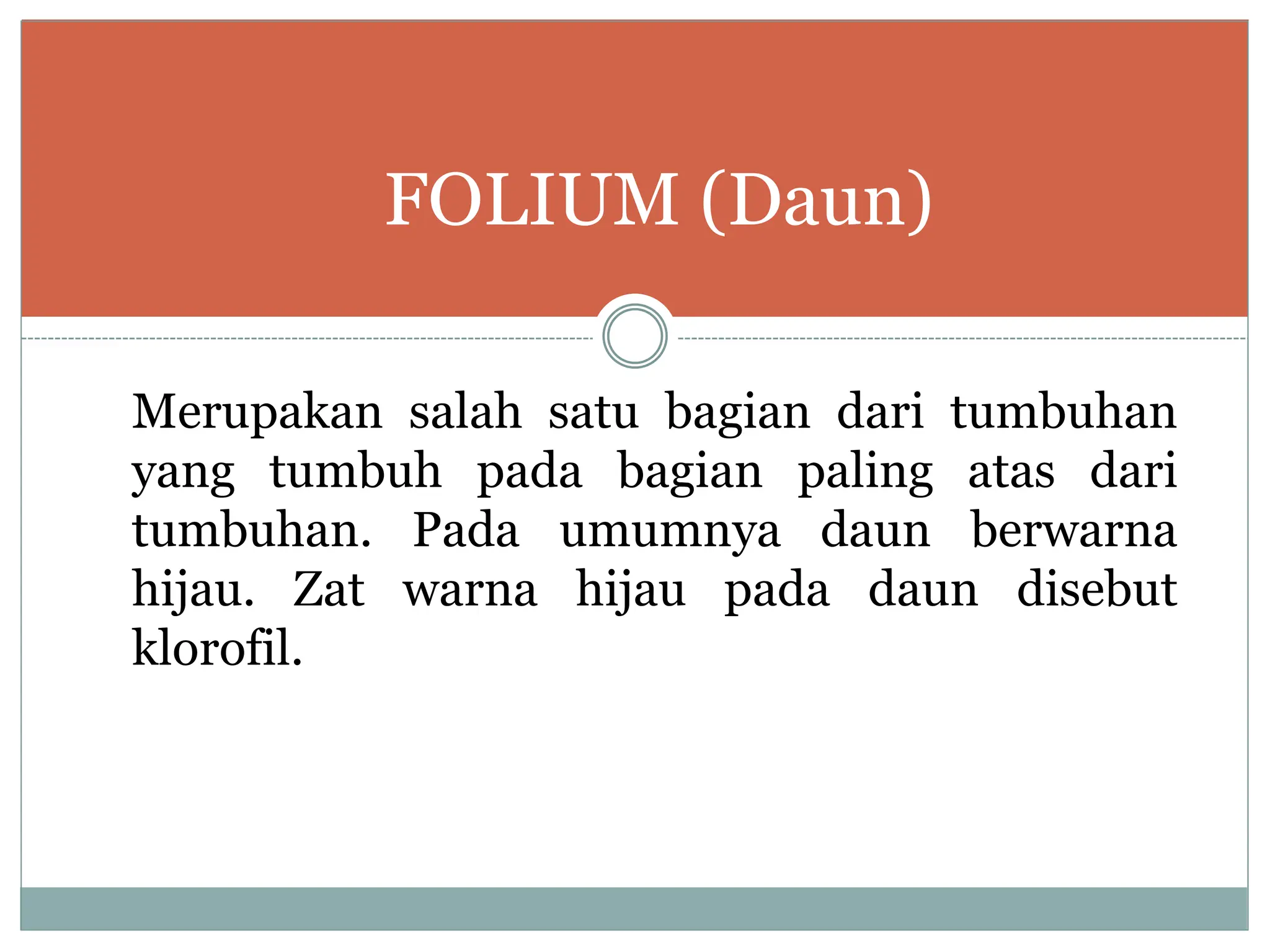 548334260-Jenis-jenis-Simplisia-Karakteristik-Makroskopis-Dan ...