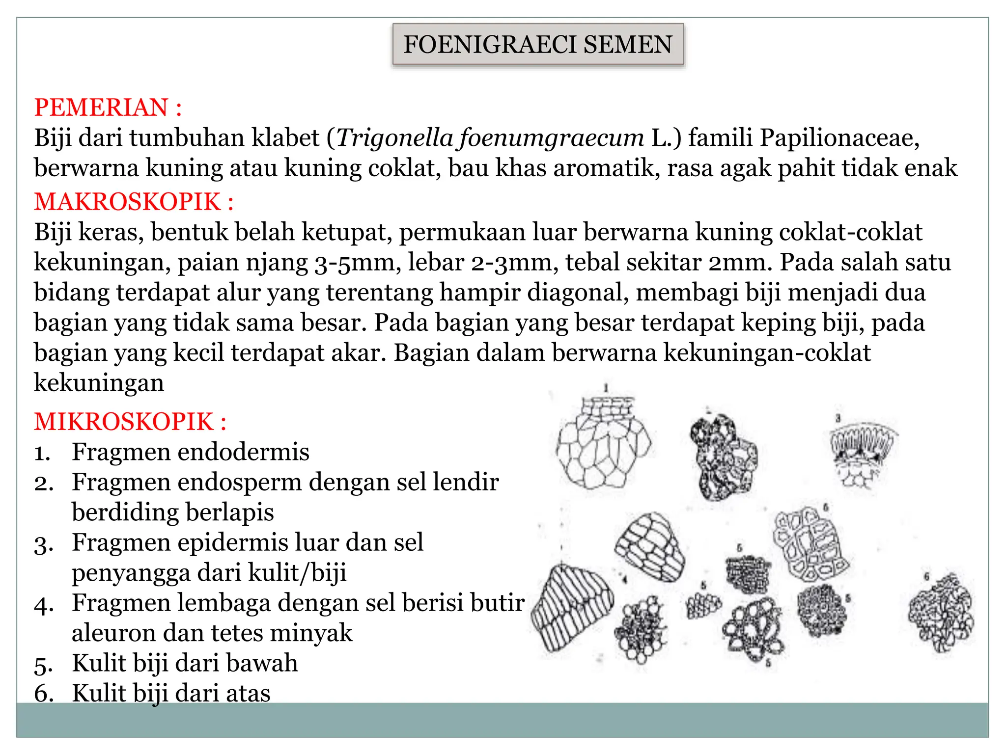 548334260-Jenis-jenis-Simplisia-Karakteristik-Makroskopis-Dan ...