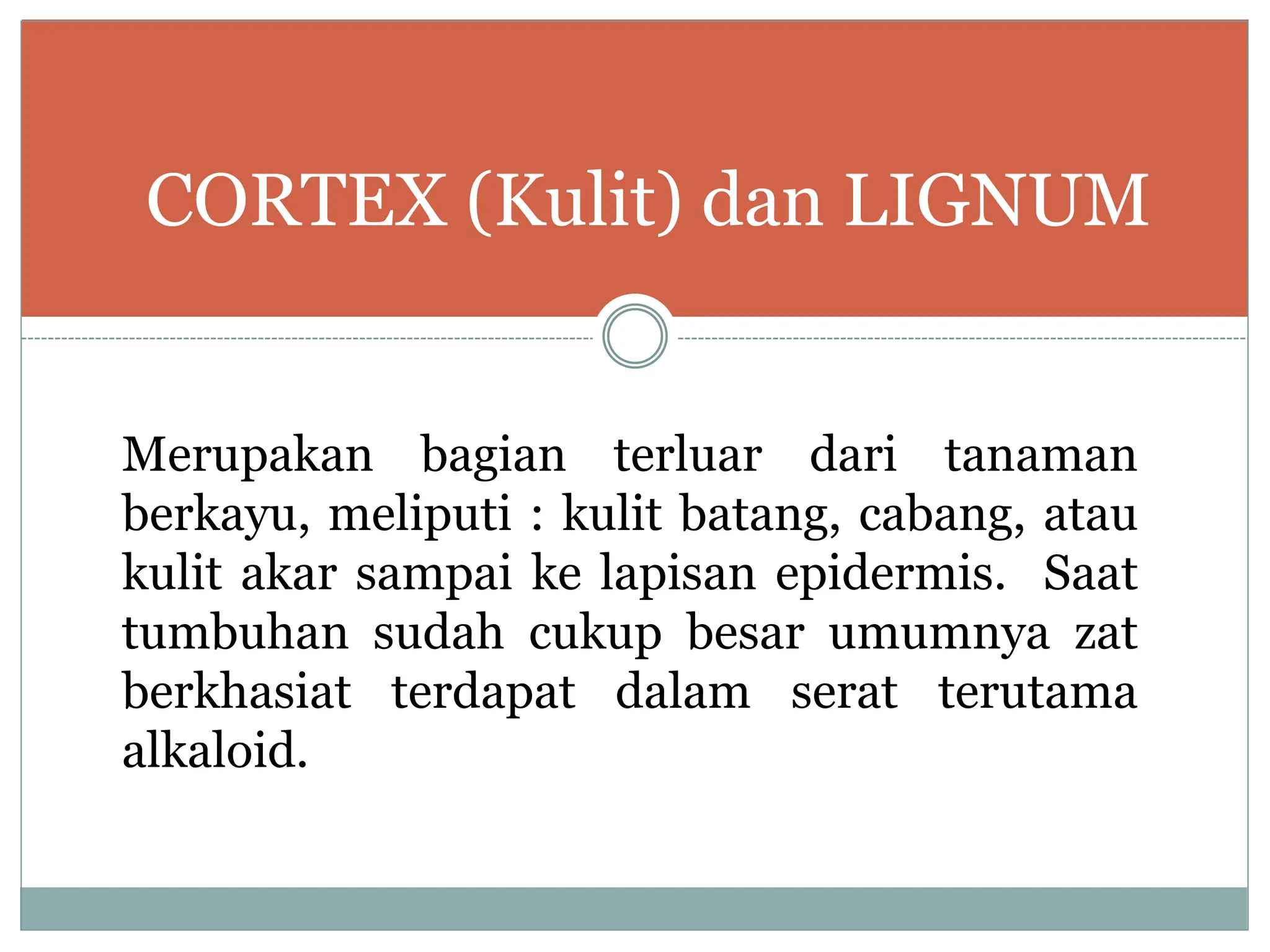 548334260-Jenis-jenis-Simplisia-Karakteristik-Makroskopis-Dan ...