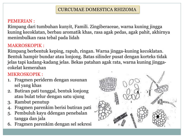 548334260-Jenis-jenis-Simplisia-Karakteristik-Makroskopis-Dan ...