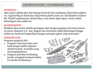 548334260-Jenis-jenis-Simplisia-Karakteristik-Makroskopis-Dan ...