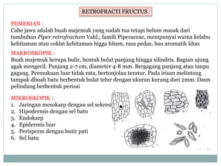 548334260-Jenis-jenis-Simplisia-Karakteristik-Makroskopis-Dan ...
