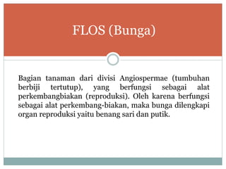 548334260-Jenis-jenis-Simplisia-Karakteristik-Makroskopis-Dan ...