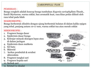 548334260-Jenis-jenis-Simplisia-Karakteristik-Makroskopis-Dan ...