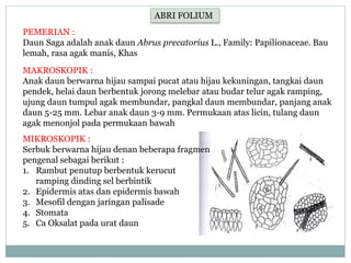 548334260-Jenis-jenis-Simplisia-Karakteristik-Makroskopis-Dan ...