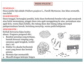 548334260-Jenis-jenis-Simplisia-Karakteristik-Makroskopis-Dan ...