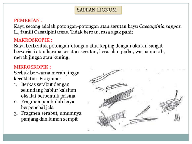 548334260-Jenis-jenis-Simplisia-Karakteristik-Makroskopis-Dan ...