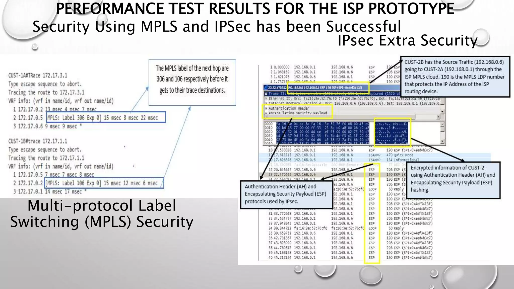 Project Viva Presentation | PPTX