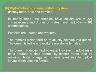 Sex Determination | PPT