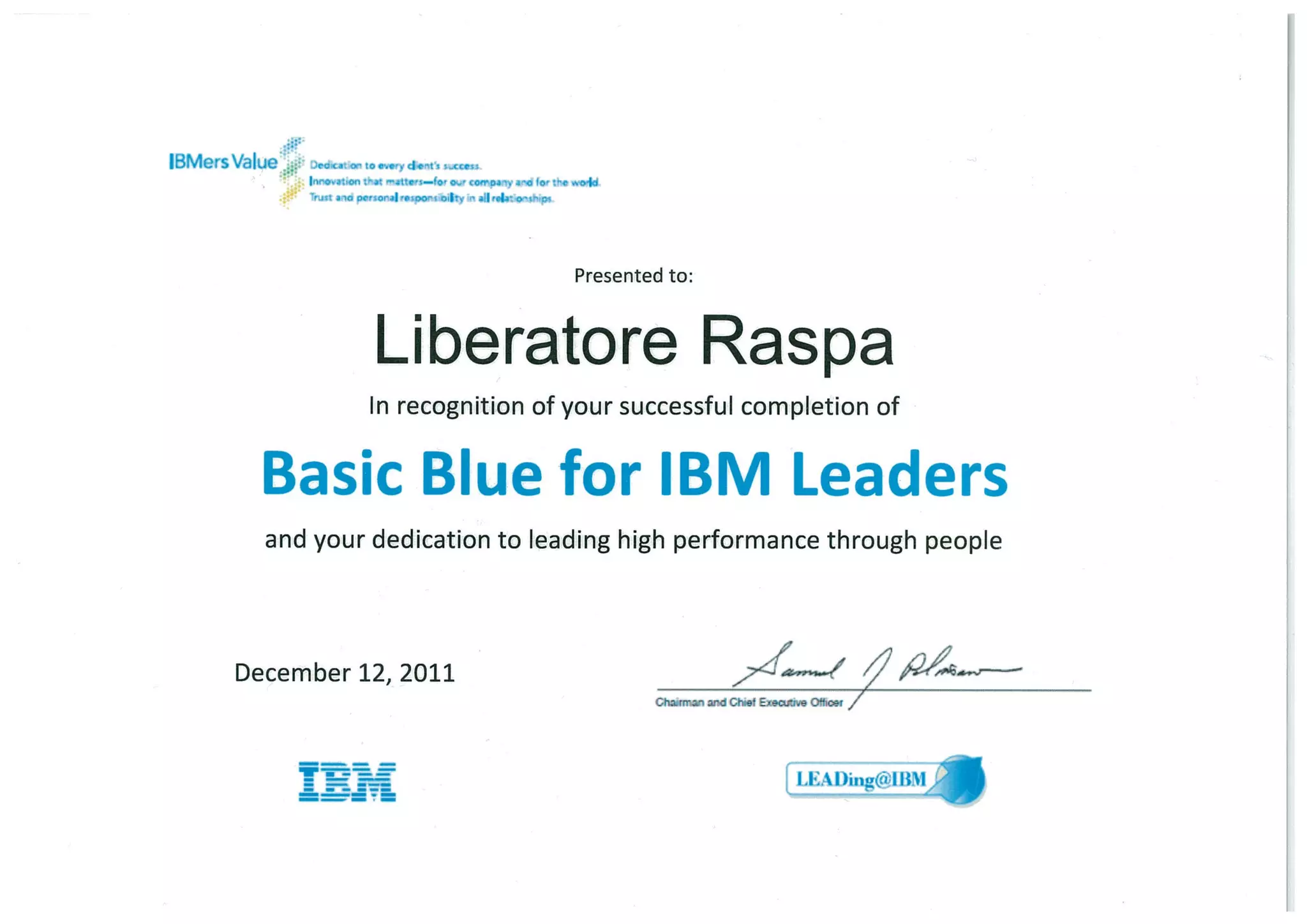 Basic Blue for IBM Leaders | PDF