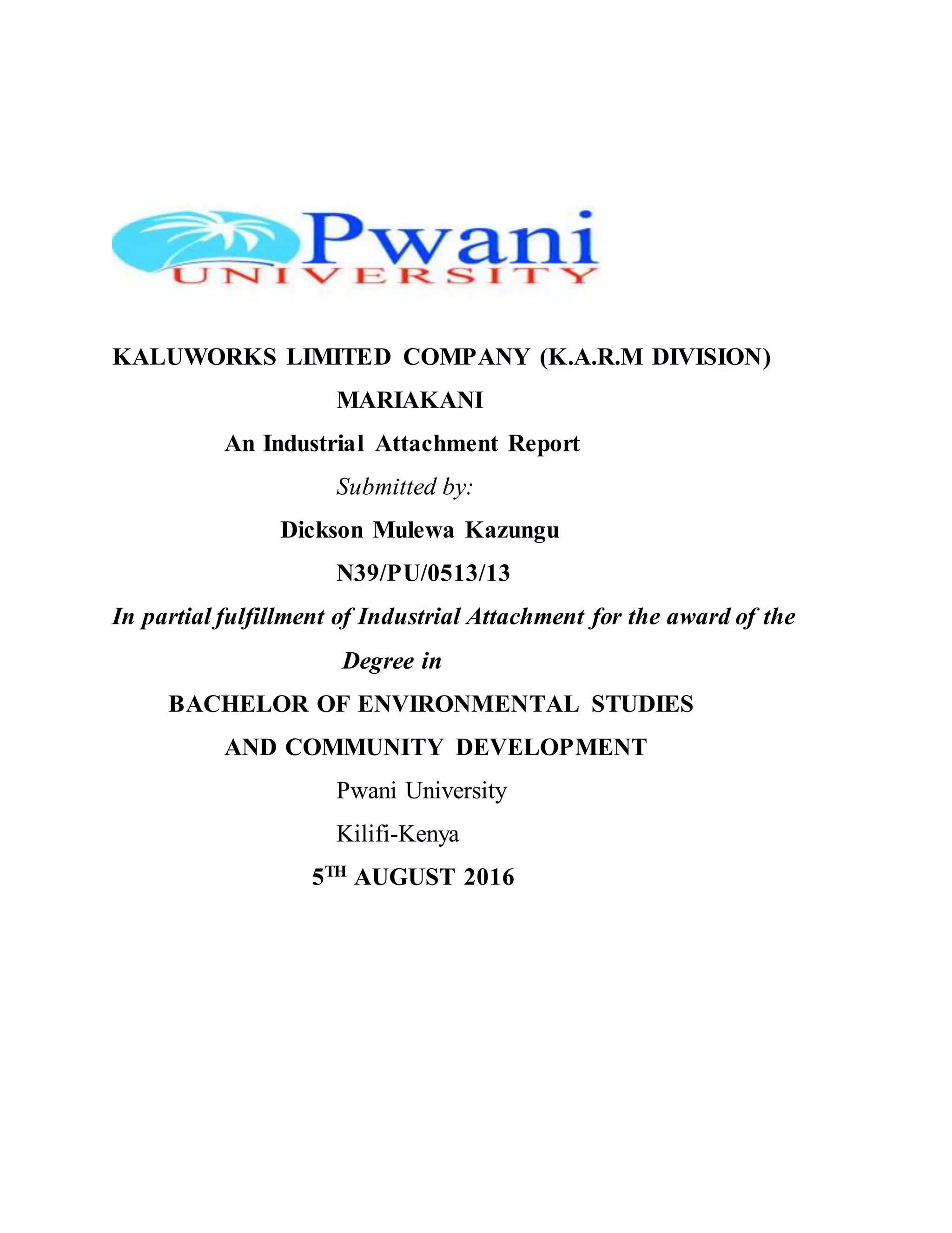 Attachment Report Final Copy | DOCX