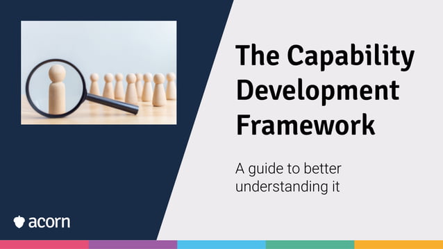 What's a Capability Development Framework? | PDF