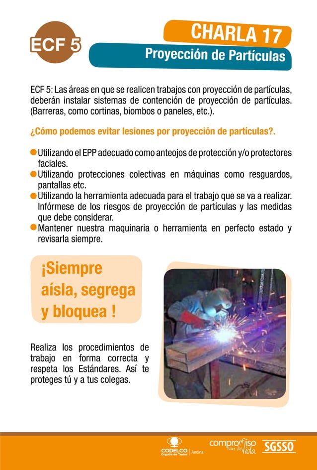 54 CHARLAS DE SEGURIDAD 5 MINUTOS.pdf