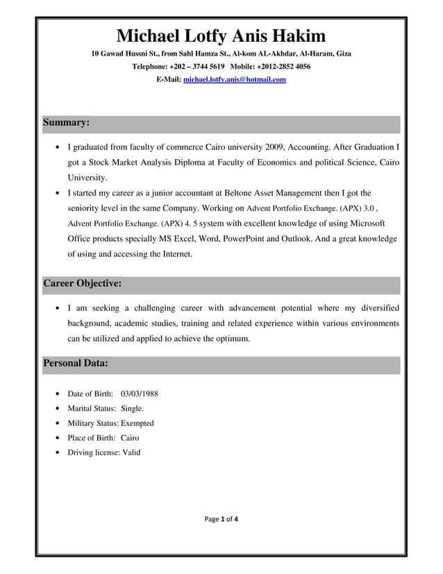 Michael_Lotfy_Resume | PDF