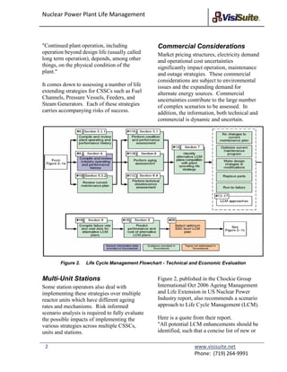 Nuclear Power Plant Risk Informed Life Management ver 9 | PDF