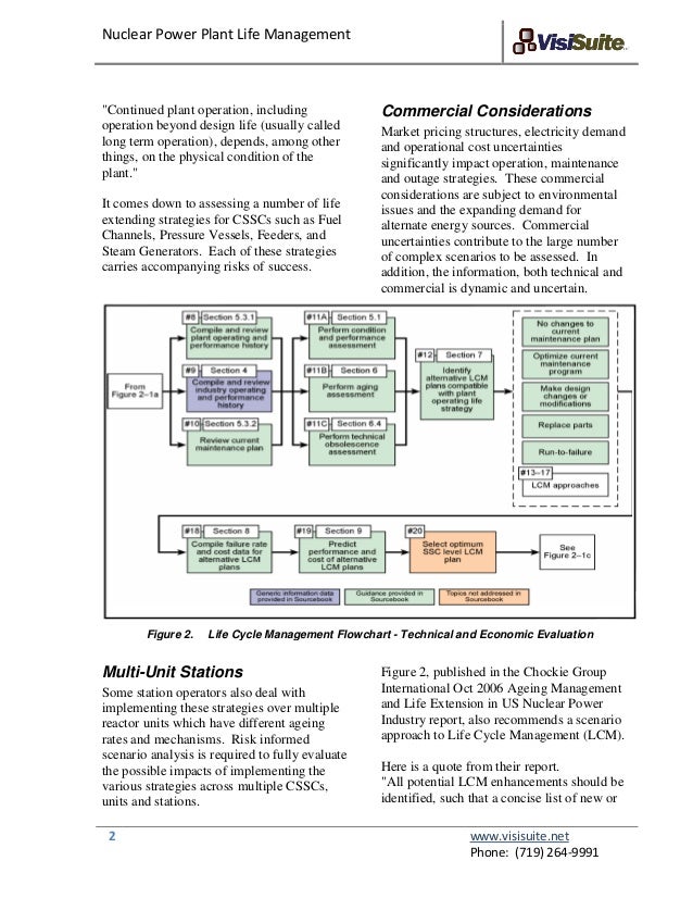 Nuclear Power Plant Risk Informed Life Management ver 9