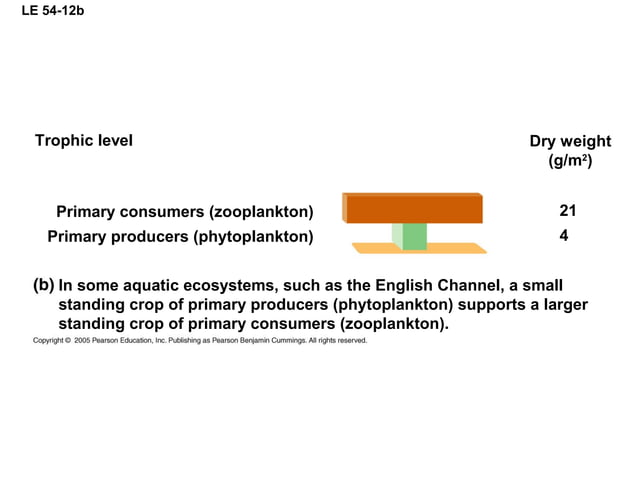 54 lectures ppt | PPT