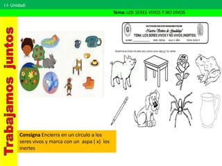 54 seres vivos y seres no vivos | PPTX